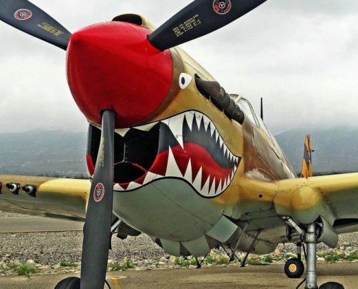 European Center Of Military History (EUCMH) Flying Tigers (American ...